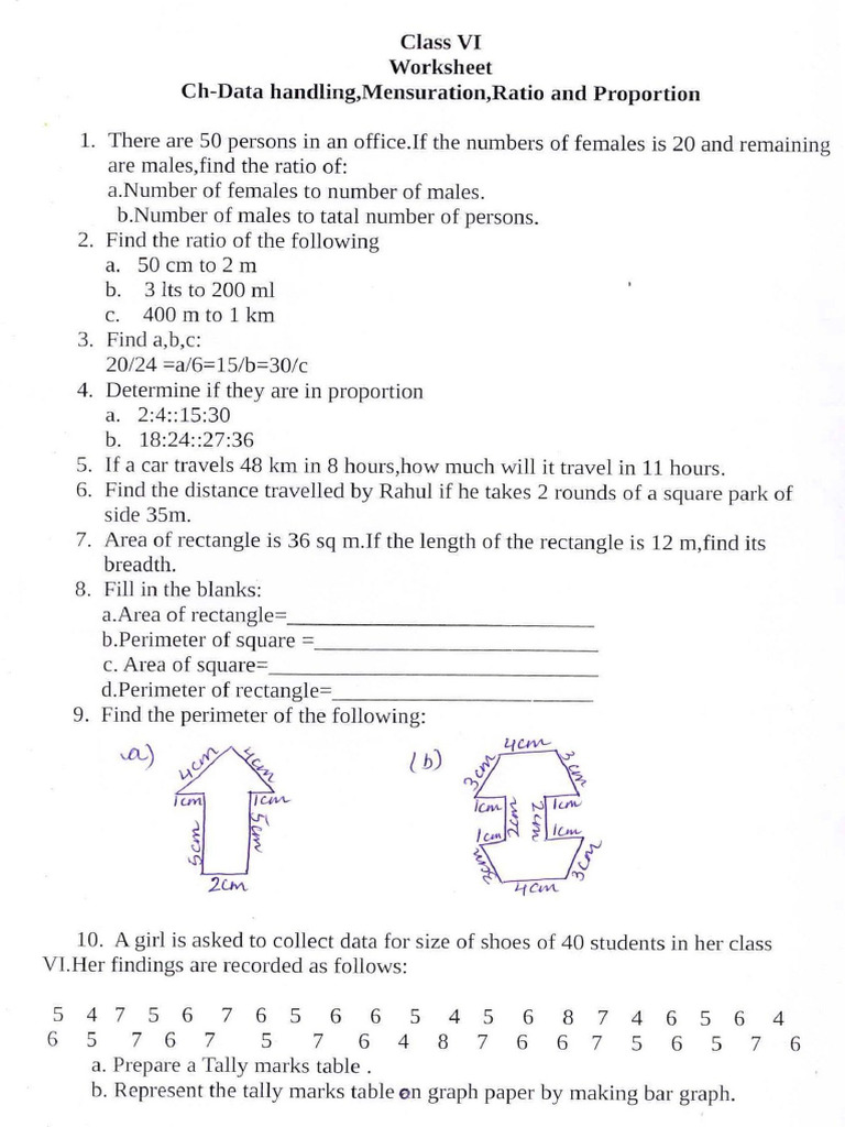 CBSE Class 6 Maths Practice Worksheets (7)_0 | PDF