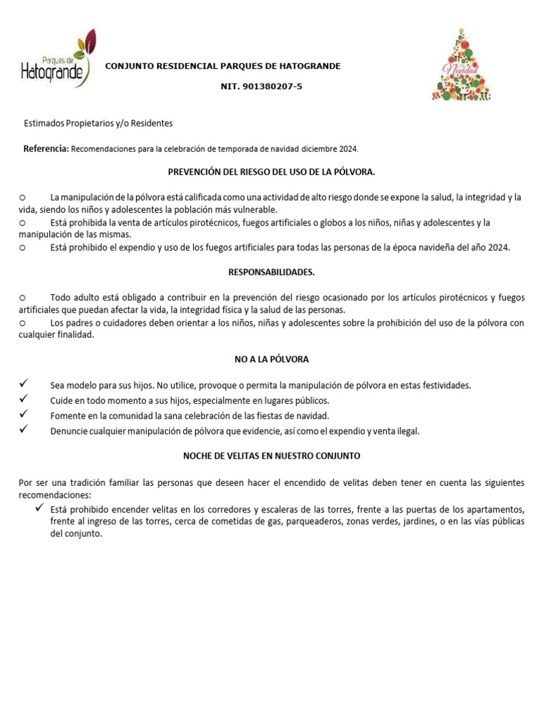 Comunicado Recomendaciones Celebración Temporada de Navidad 2024 | PDF | Pirotécnica | Navidad
