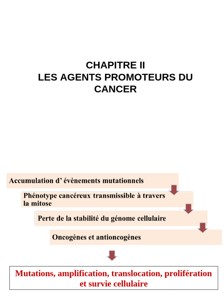 Cours 6 PMC 2024 2025 | PDF | Cancer | Cancer du poumon