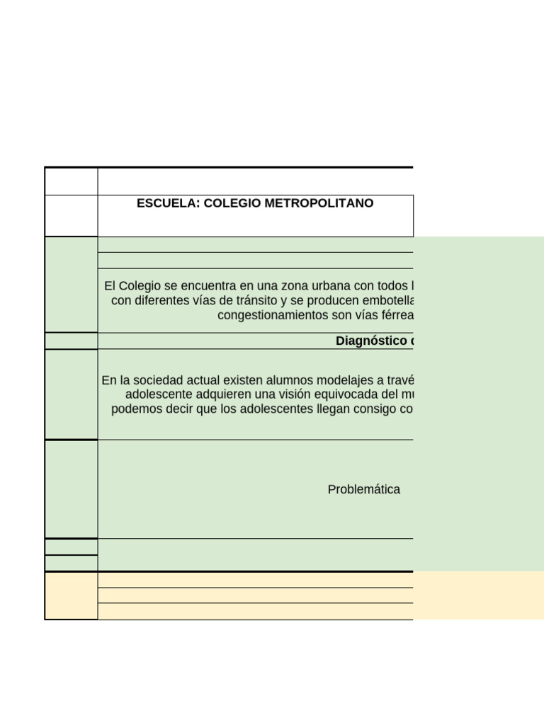 Programa Analítico 1er Año Informática | PDF | Inclusión (Educación) | Aprendizaje