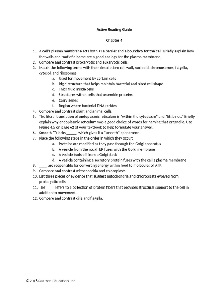 Active Reading Guide Chapter 4 | PDF