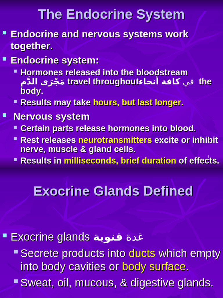 Endocrine System | PDF | Hormone | Endocrine System