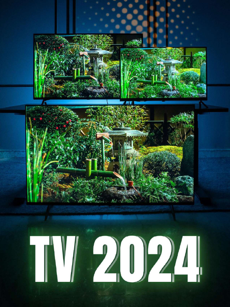 Television 2024 | PDF | Consumer Electronics | Information And ...