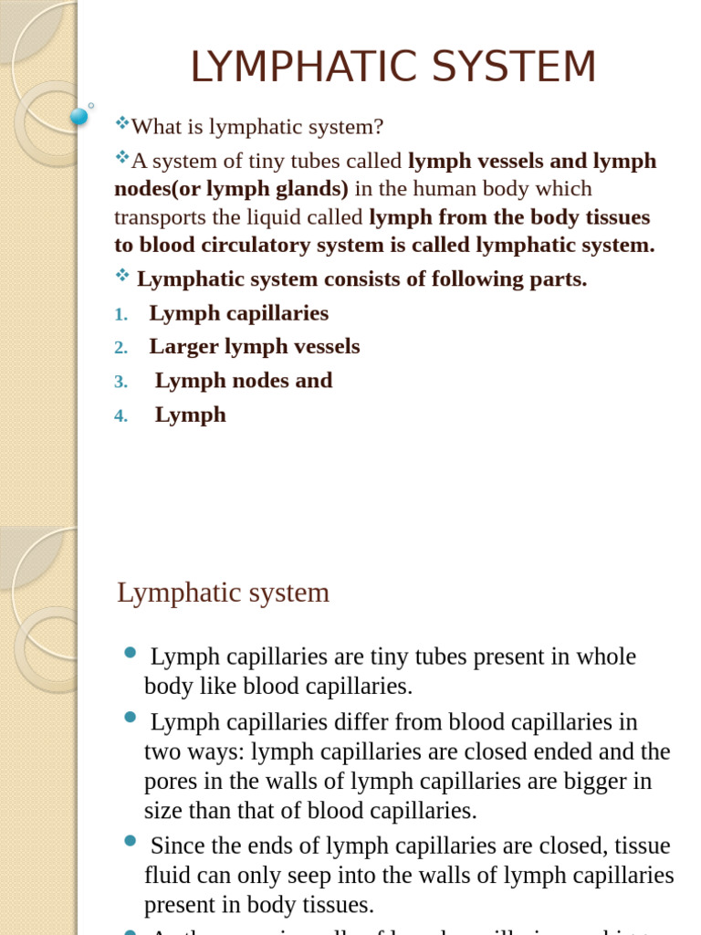 Lymphatic System PPT Class 10 | PDF | Lymph | Lymphatic System
