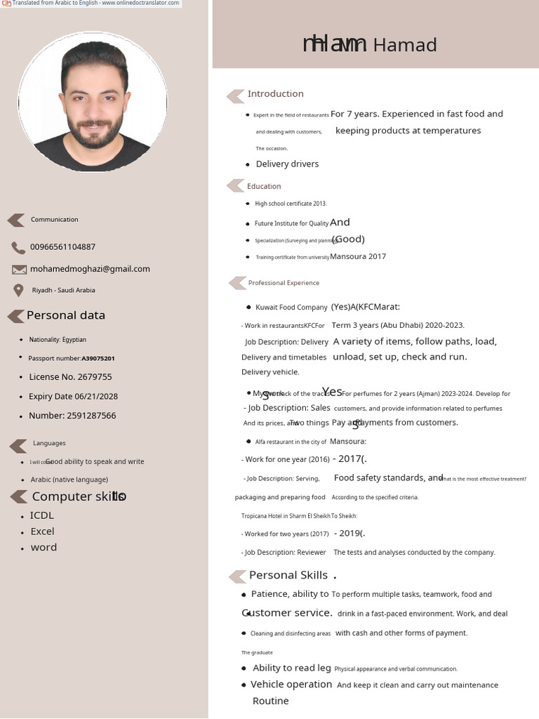 Mohamed Elsayed Cv..ar - en | PDF