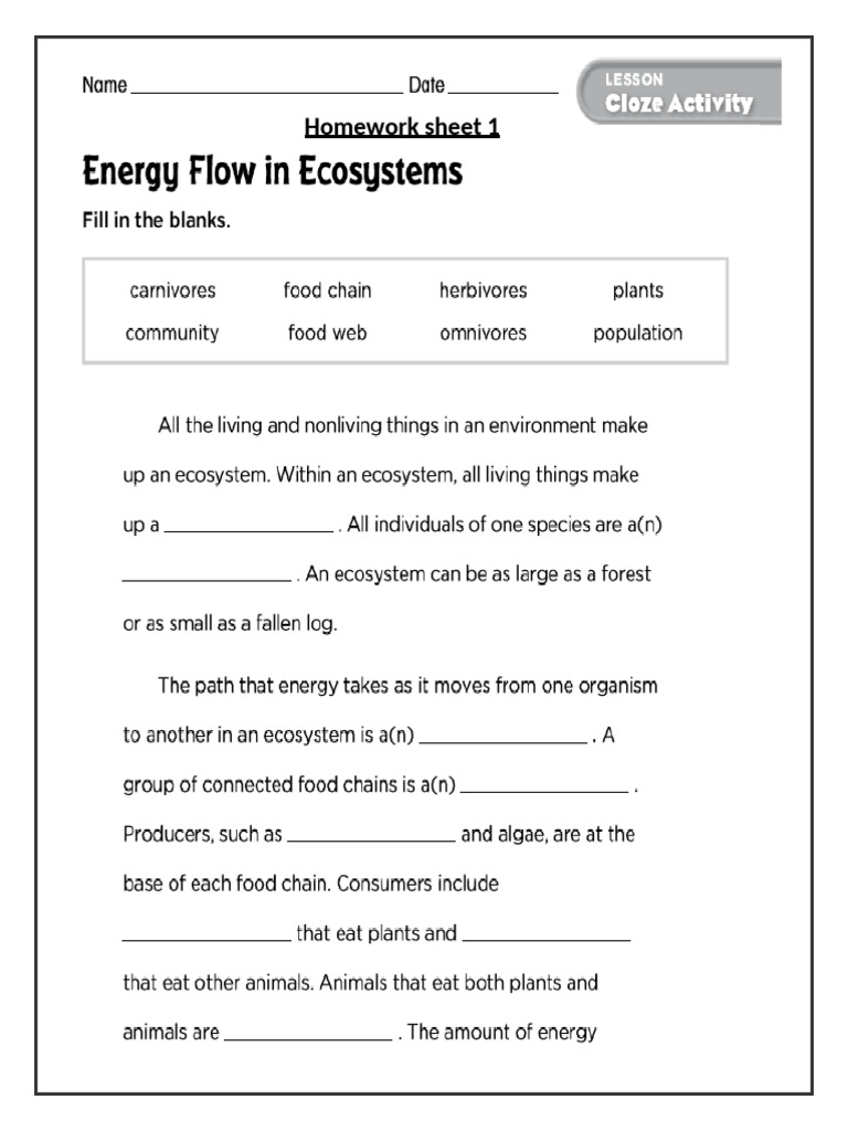 Energy Flow HWork Document | PDF