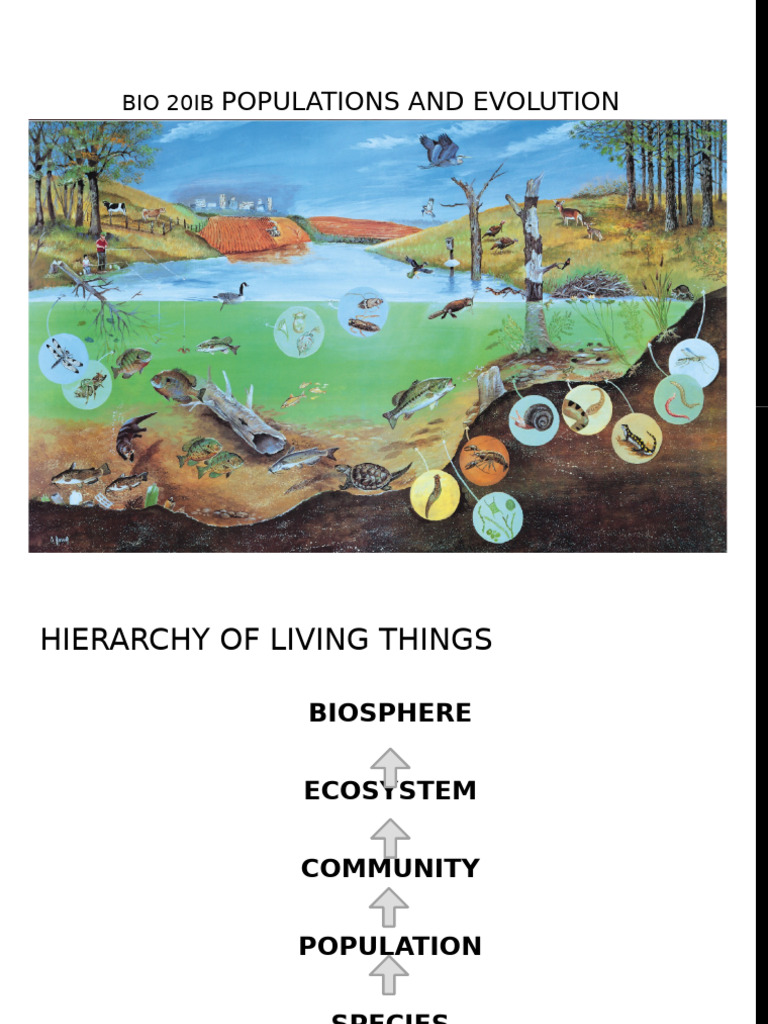 Copy of Unit B Populations and Evolution ECOLOGY | PDF | Natural ...