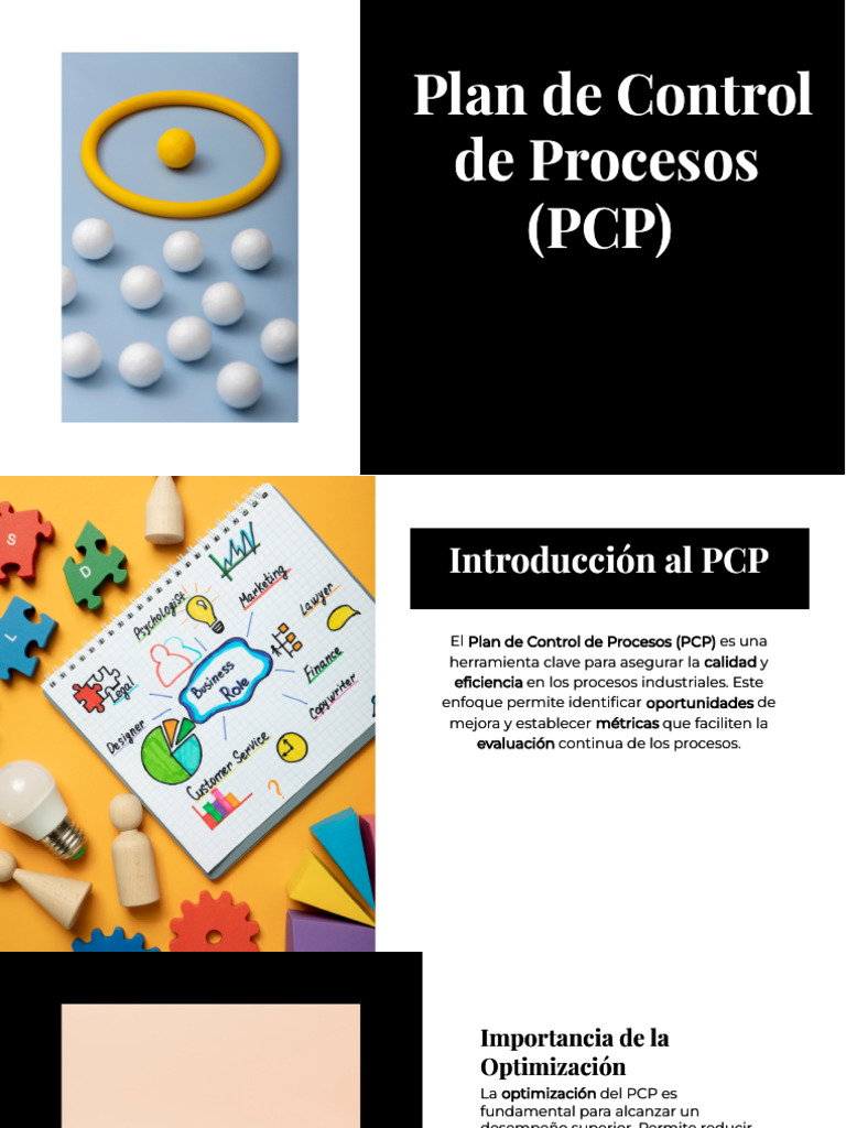 Plan de Control de Procesos | PDF | Business