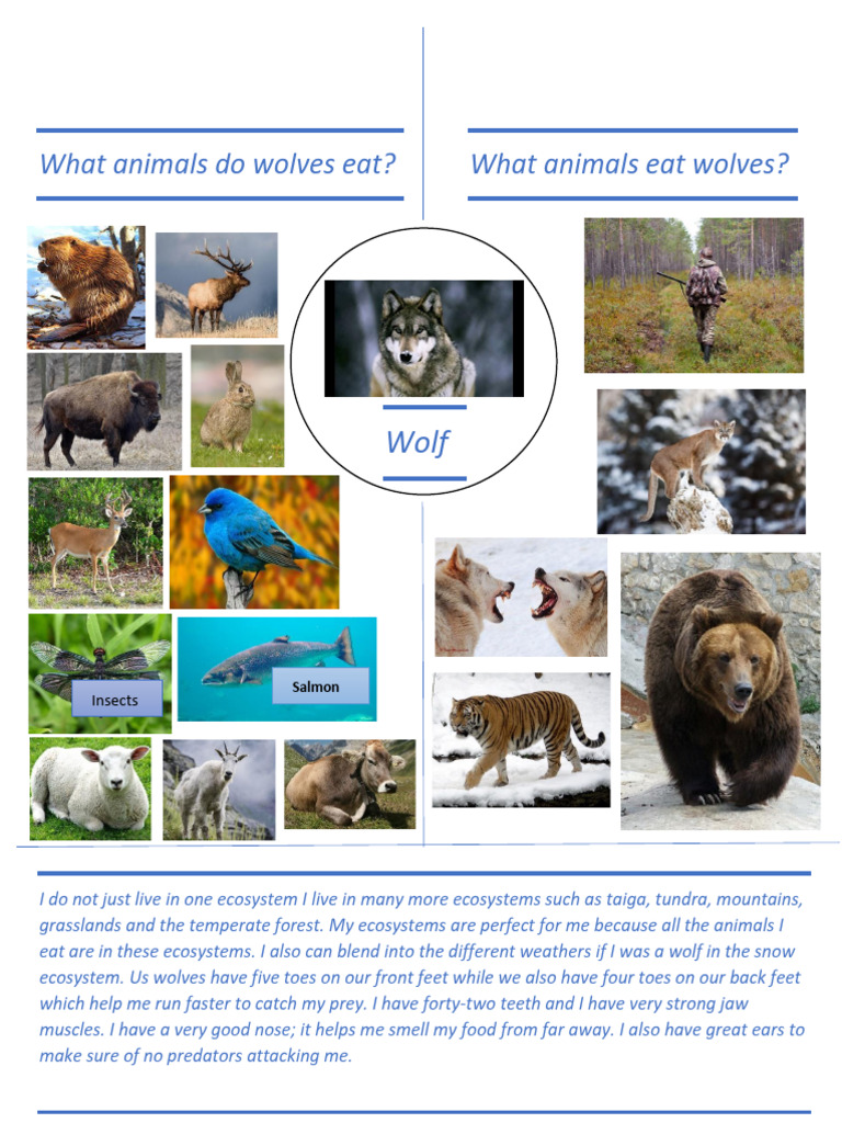 Science Project | PDF