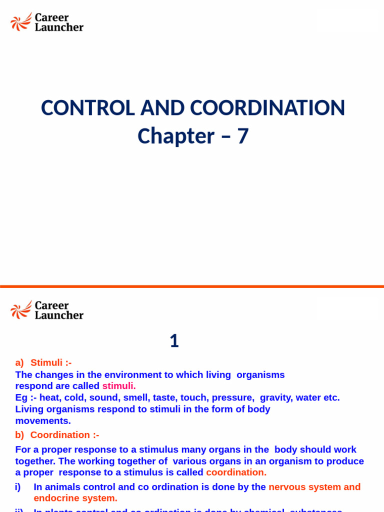 CBSE 10 Control and Coordination PPT Final CL | PDF | Neuron | Nervous ...
