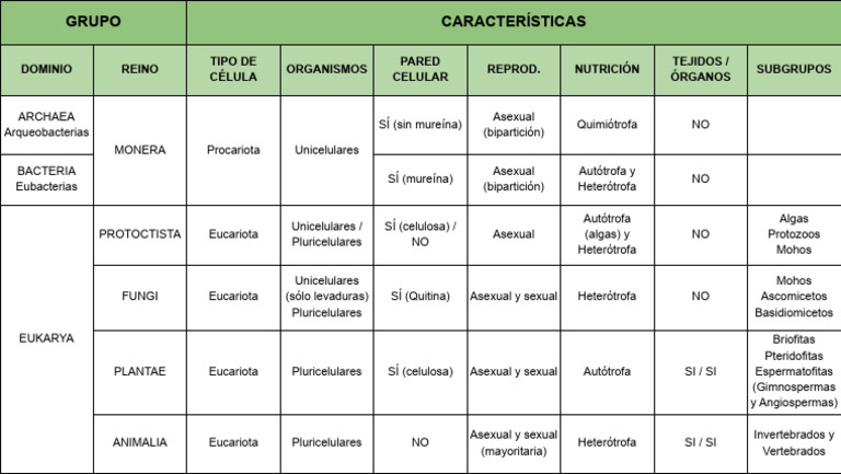 Tabla de Los Cinco Reinos | PDF | Eucariotas | Evolución biológica