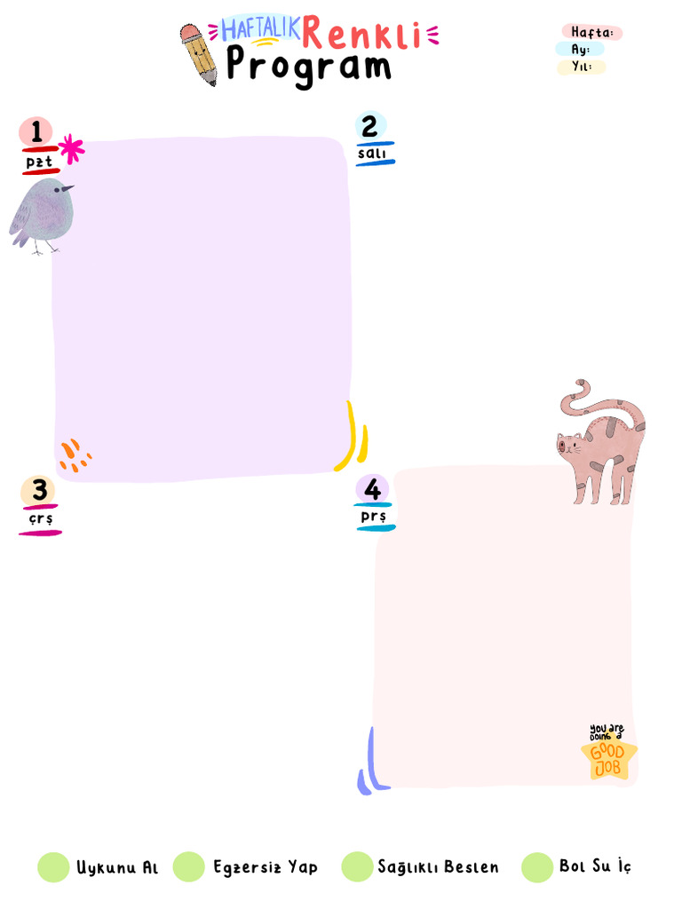 Program: PZT Salı | PDF