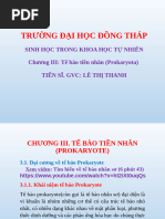 CẤU TẠO TẾ BÀO PROKARYOTE | PDF