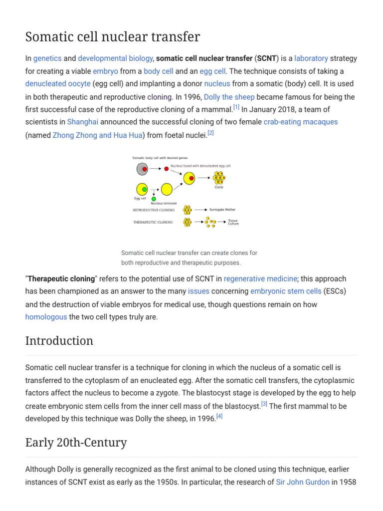 Somatic Cell Nuclear Transfer - Wikipedia | PDF | Biotechnology | Change