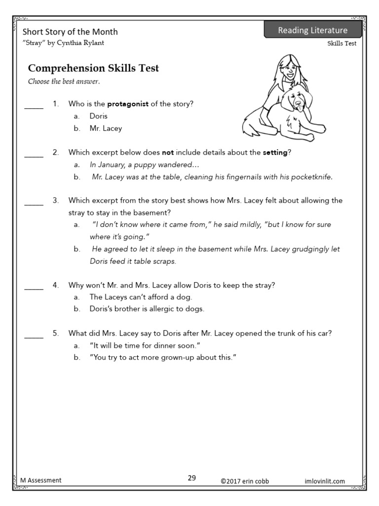 "Comprehension Test for 'Stray' Story" | PDF