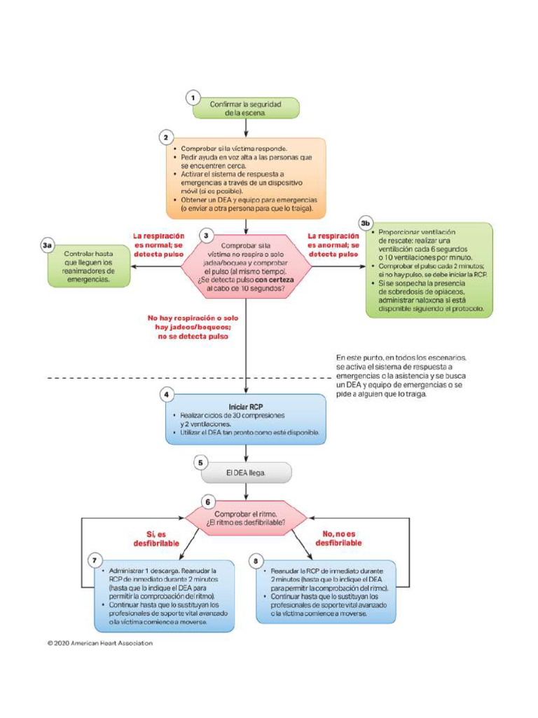 2020 BLS Algoritmo en Adultos para Profesionales de Salud | PDF