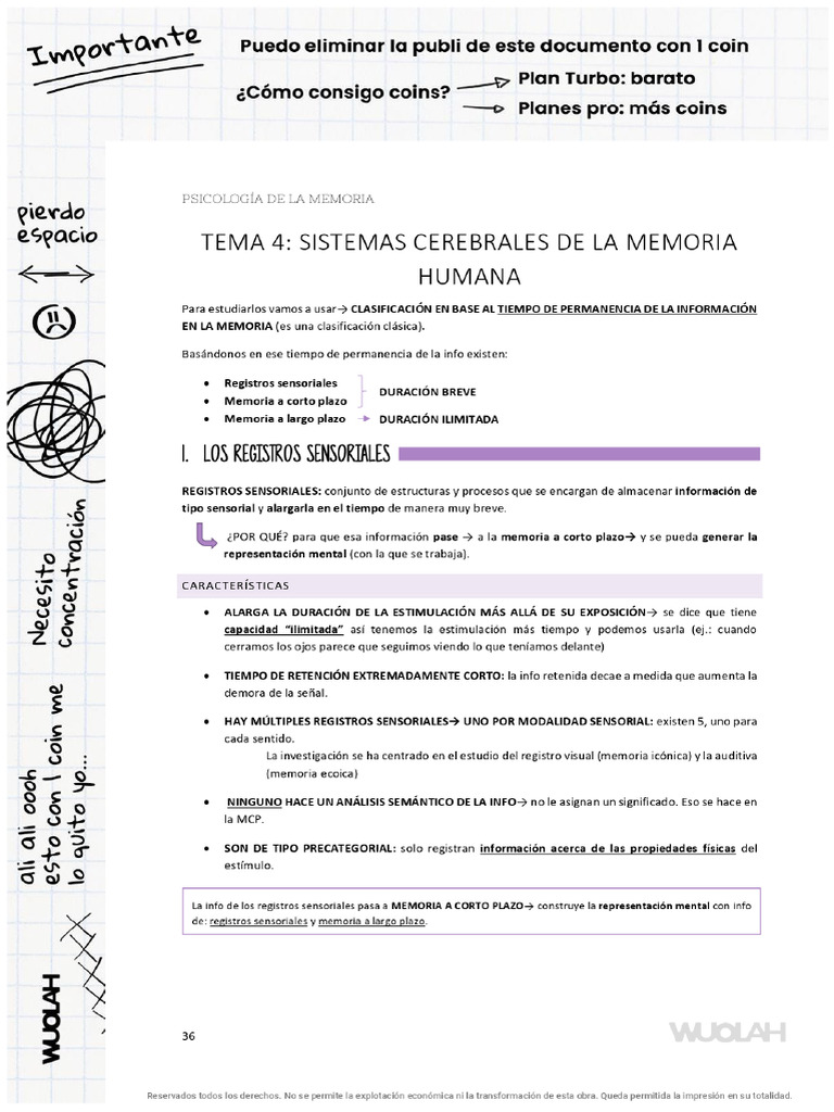 Sistemas cerebrales de la memoria humana | PDF | Memoria | Procesos ...