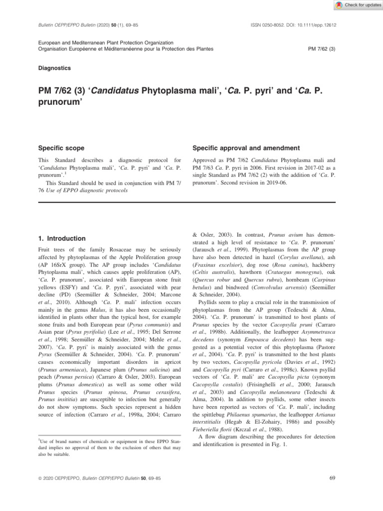 EPPO Bulletin - 2020 - PM 7 62 3 Candidatus Phytoplasma Mali CA P Pyri ...