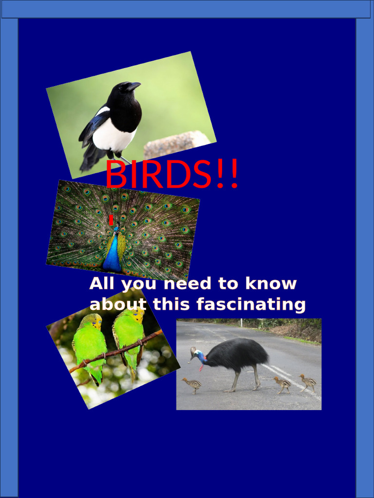 Raindrops Are Falling On My Head | PDF