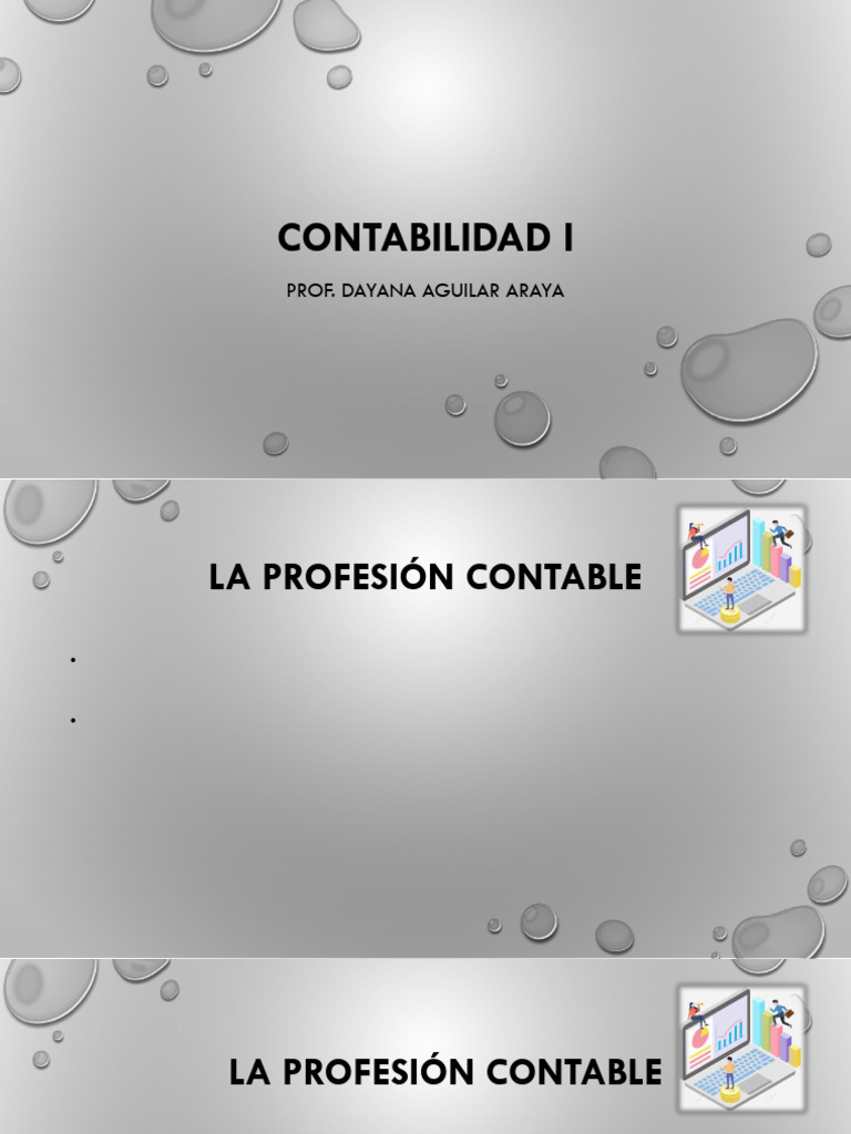 La Profesión Contable | PDF | Contador | Contabilidad