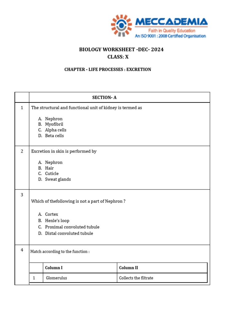 Excretion worksheet 2 (2) | PDF | Kidney | Abdomen
