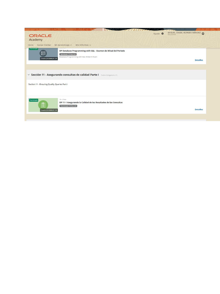 Curso Oracle Secci-N 11 | PDF