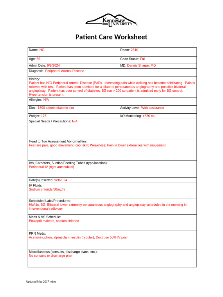 Patient20Care20Worksheet 120 | PDF