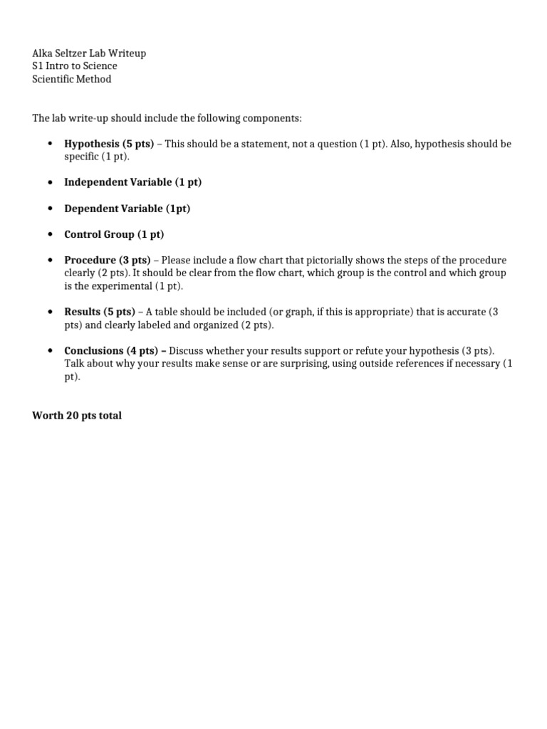 Alka Seltzer Lab Writeup Guide | PDF