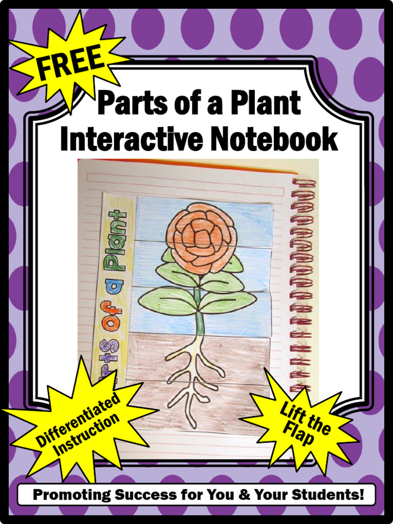FREEDownload Partsofa Plant Interactive Notebook Activityfor Science ...