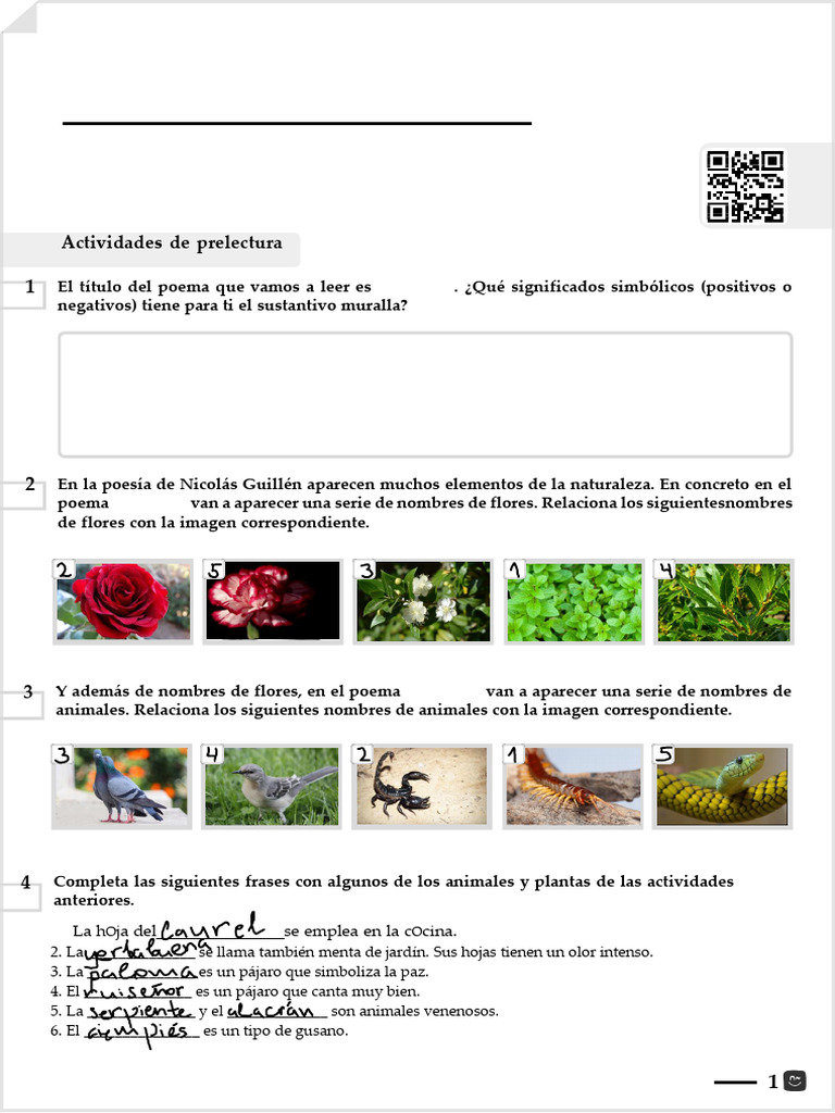 La Muralla - Nicolás Guillén | PDF