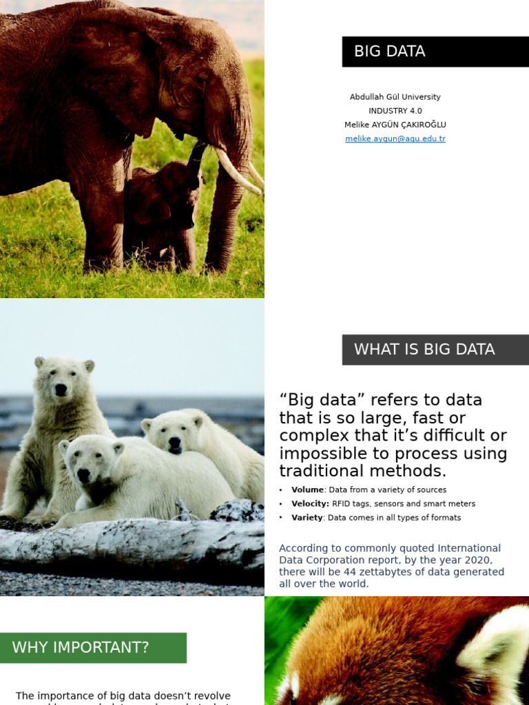 Big data | PDF | Big Data | Analytics