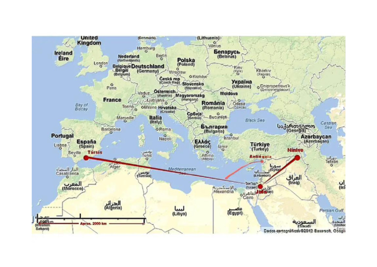 Mapa Nivive Tarsis | PDF