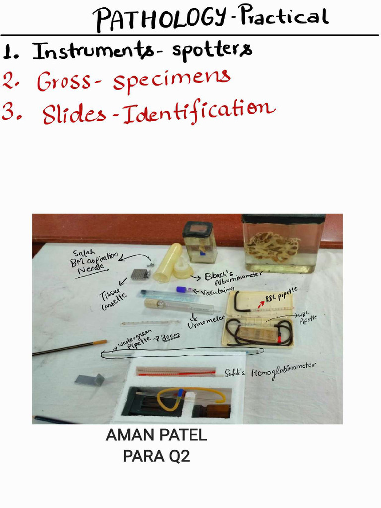 Patho Spotting | PDF