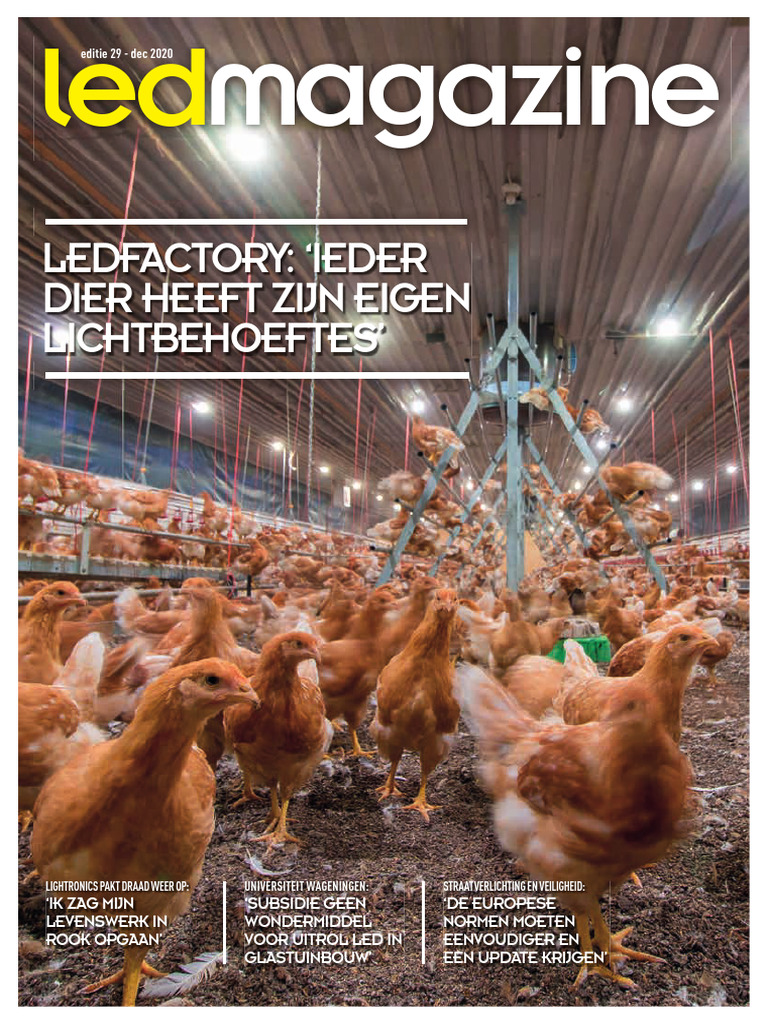 lm4 December2020 | PDF