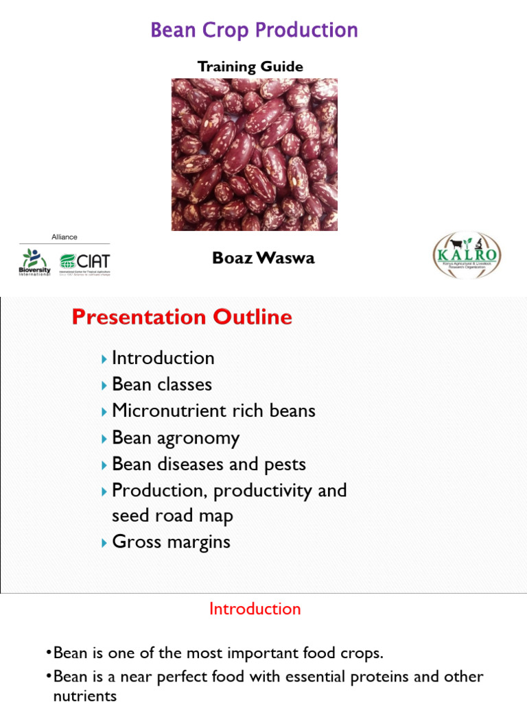 Comprehensive Guide to Bean Production | PDF | Weed | Pest (Organism)