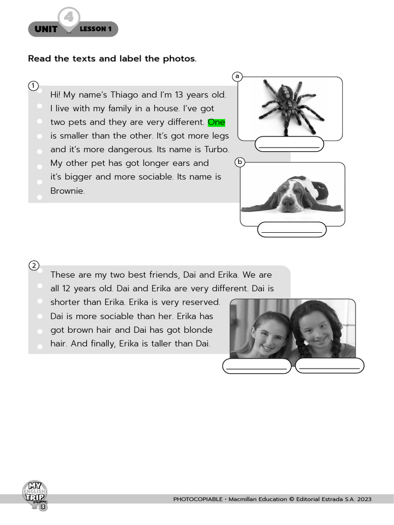 MET2 - L3 - U4 - Worksheets HECHO | PDF