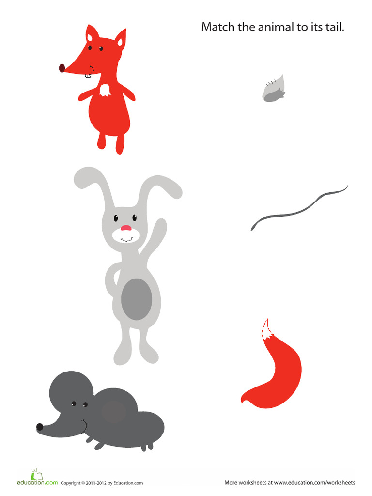 Animal Tails 5 | PDF