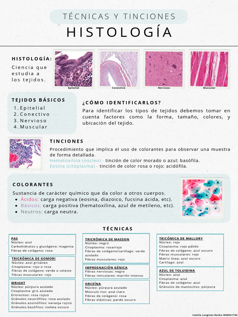 Técnicas y tinciones histológicas | PDF | Tinción | Tejido conectivo
