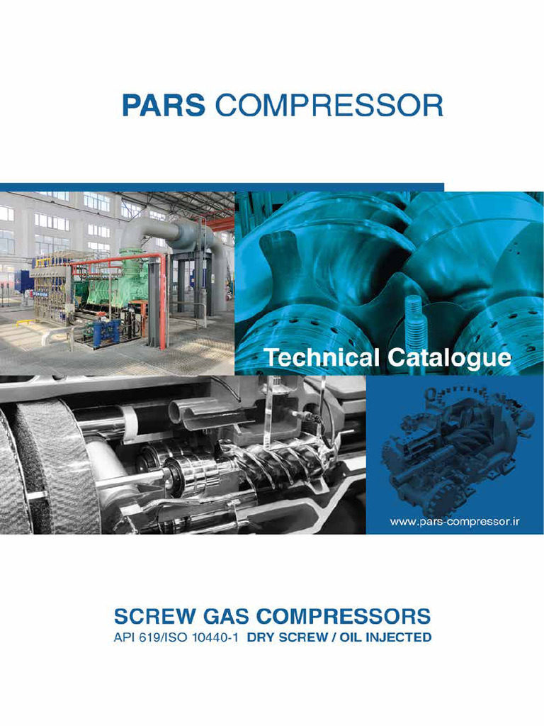 Pars Compressor Screw Gas | PDF
