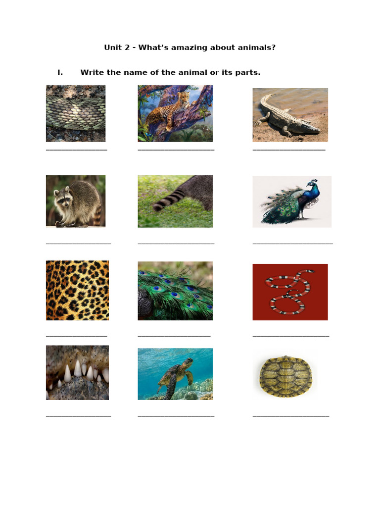 Unit 2 Sample Test 03 | PDF