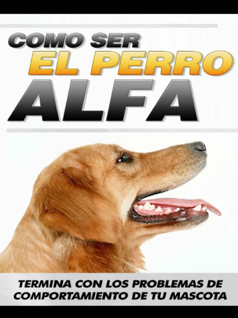 Como Entrenar Tu Mascota - Como Ser El Perro Alfa y Tmiento de Tu ...