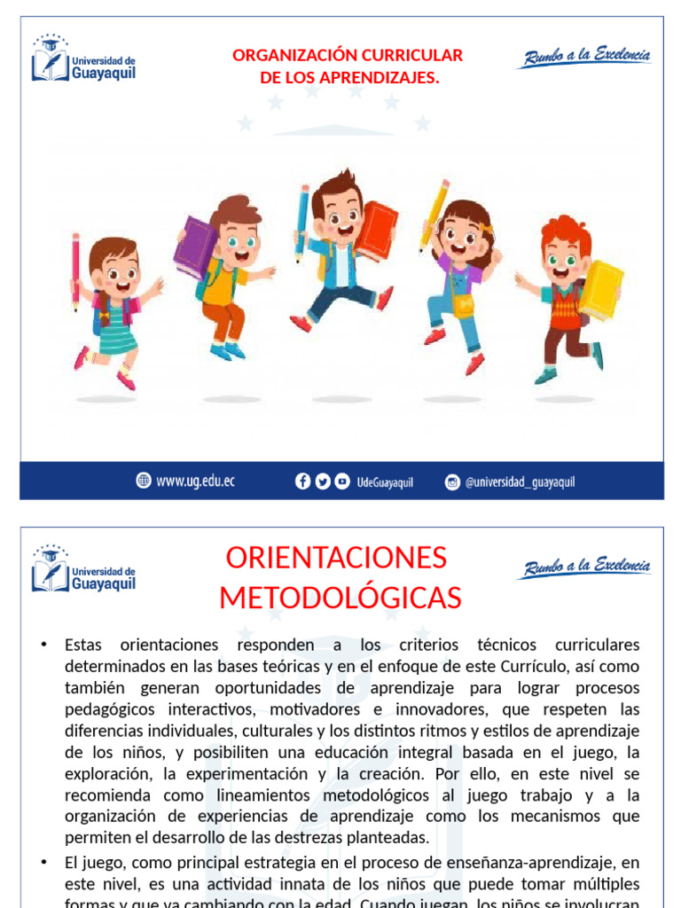 Orientaciones Metodológicas | PDF | Aprendizaje | Plan de estudios