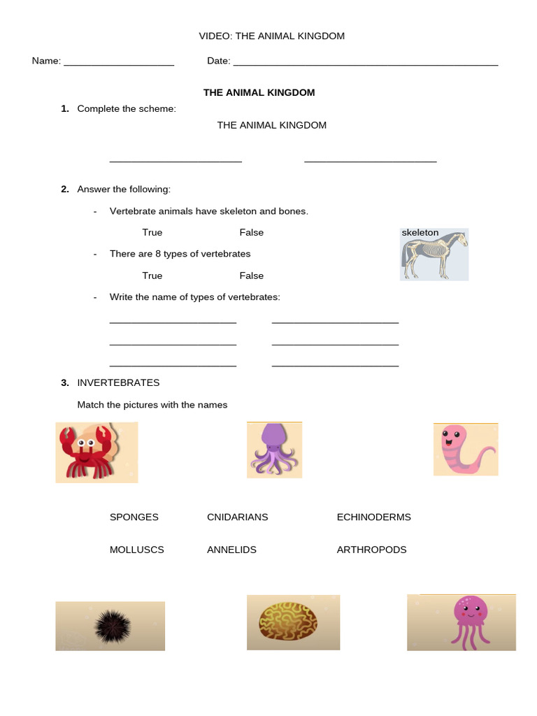 Animal Kingdom Overview and Quiz | PDF