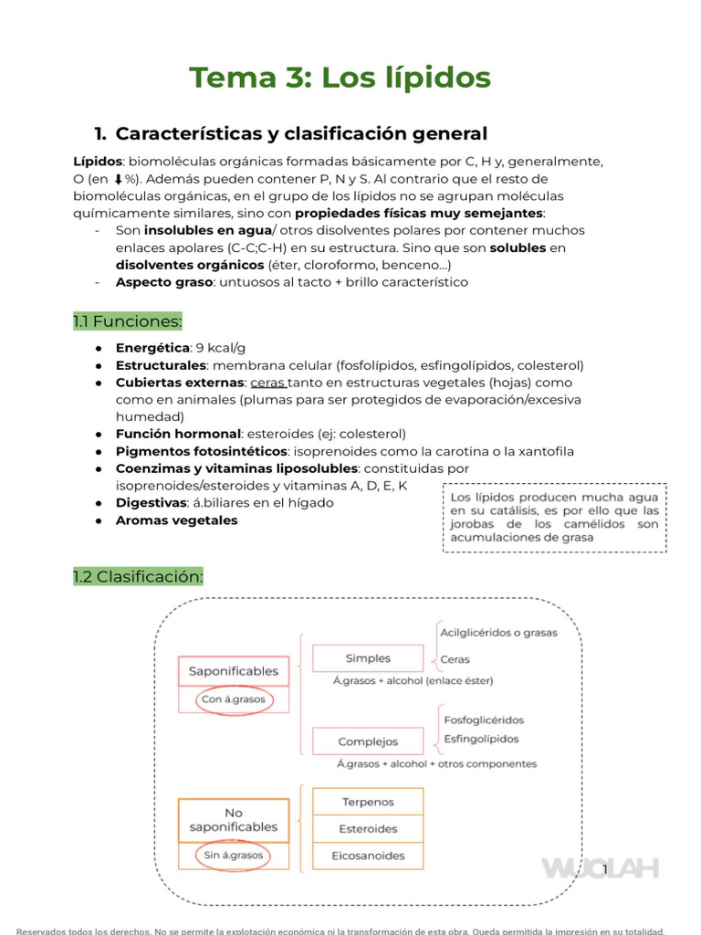 tema3-lípidos | PDF