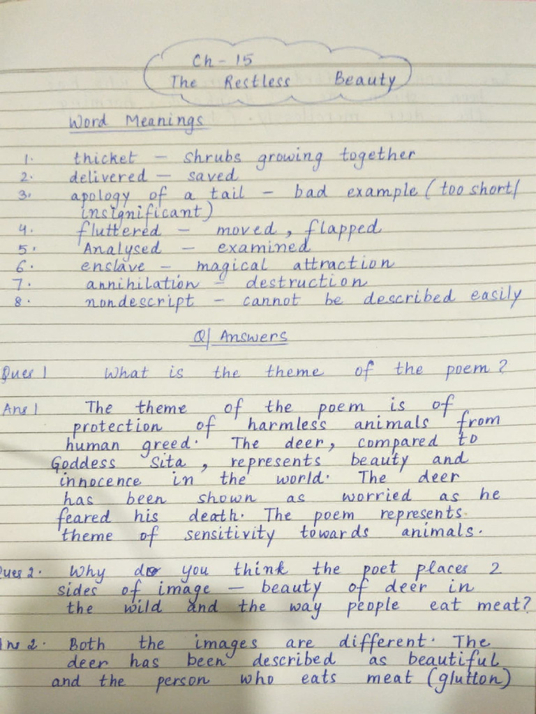 English Chapter 14, 15 | PDF