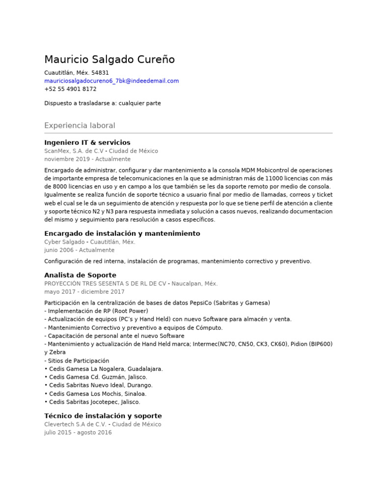 CVMauricio Salgado Cureño | PDF | Soporte técnico | Informática
