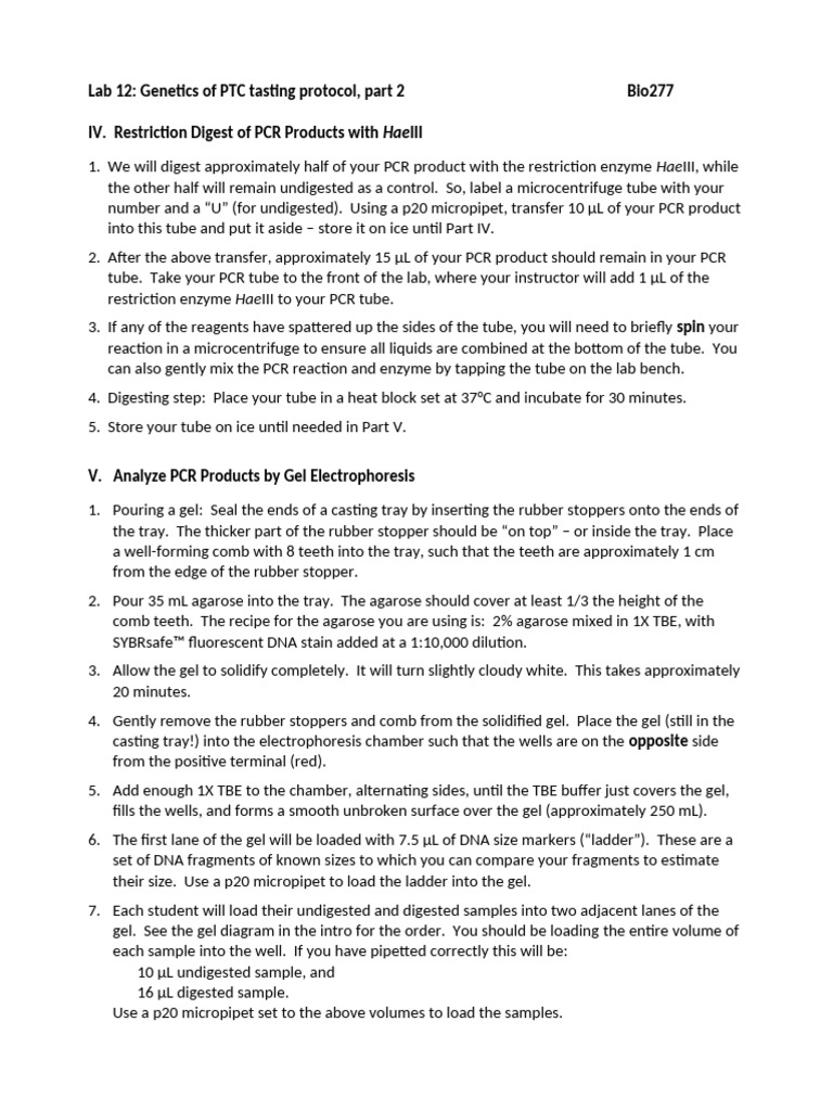Lab 12 PTC Protocol Part 2 Sp23 | PDF | Agarose Gel Electrophoresis | Genetic Engineering