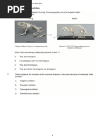 IGCSE Biology Topic 8 Transport in Plants Presentation | PDF | Leaf ...