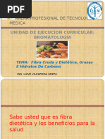 Fibra cruda | PDF | Fibra dietética | Dieta y nutrición