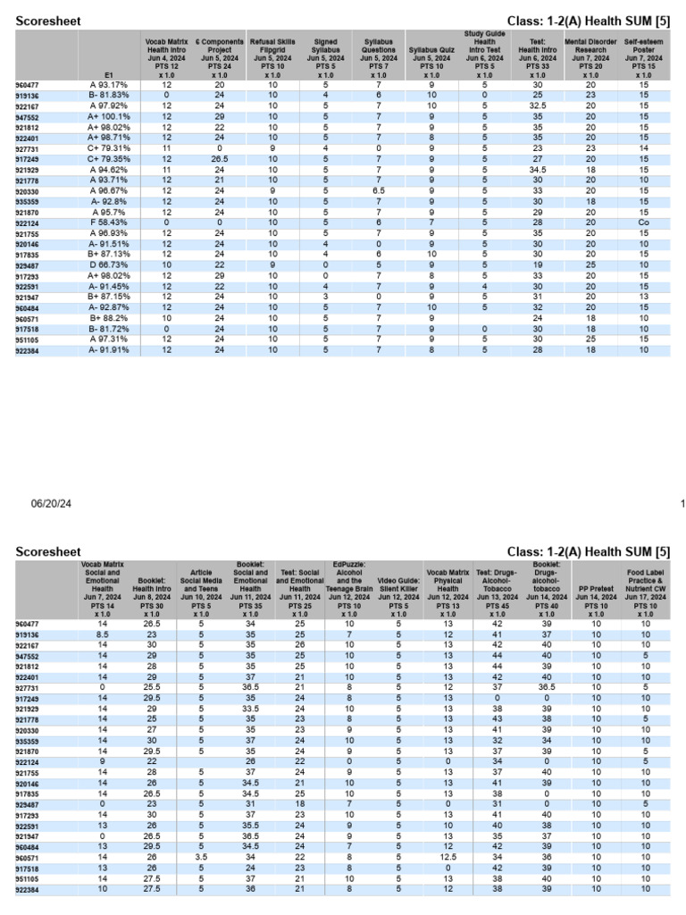 scoresheetReport_7 (1) | PDF | Mental Health | Clinical Medicine
